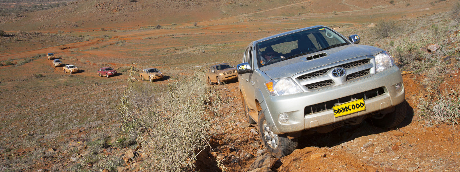 DieselDog Fuel Filters – DieselDog Filtration